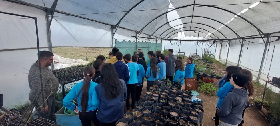 Proyecto: cultivar peperina fuera de su entorno natural | UNVM